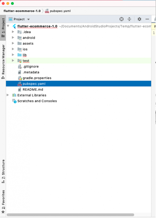 Flutter App Setup - Themes-Coder